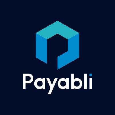 FP&A Analyst @ Payabli