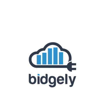 Sales Head @ Bidgely, Inc