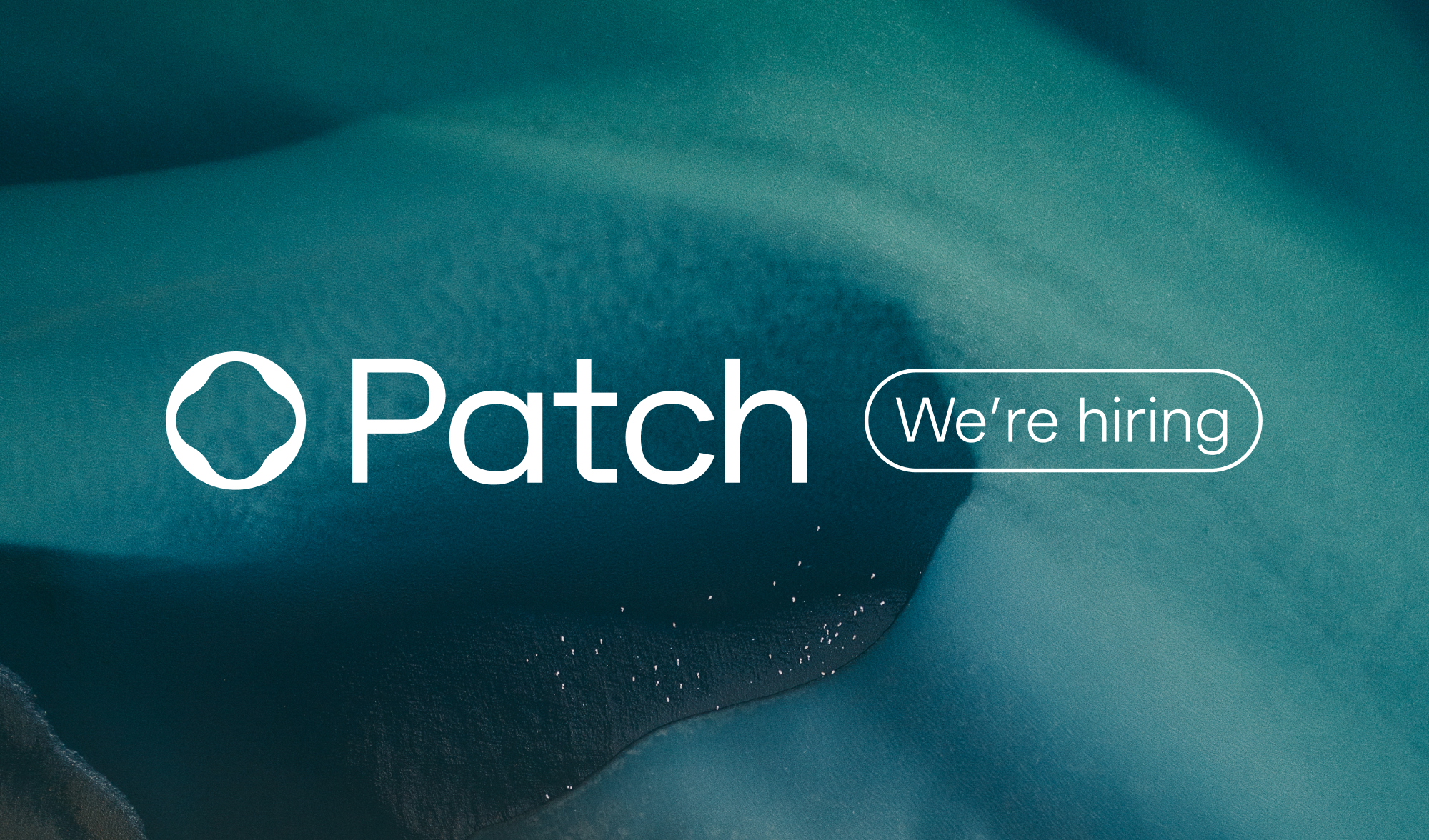 Embedded Climate Strategist @ Patch
